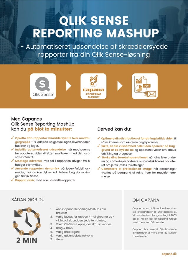 Capana Reporting Mashup | PDF
