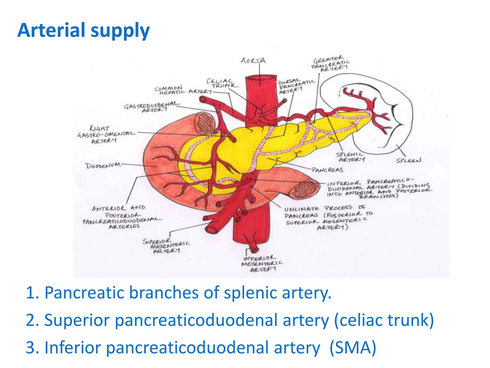 CA Pancreas- Niazi.pptx