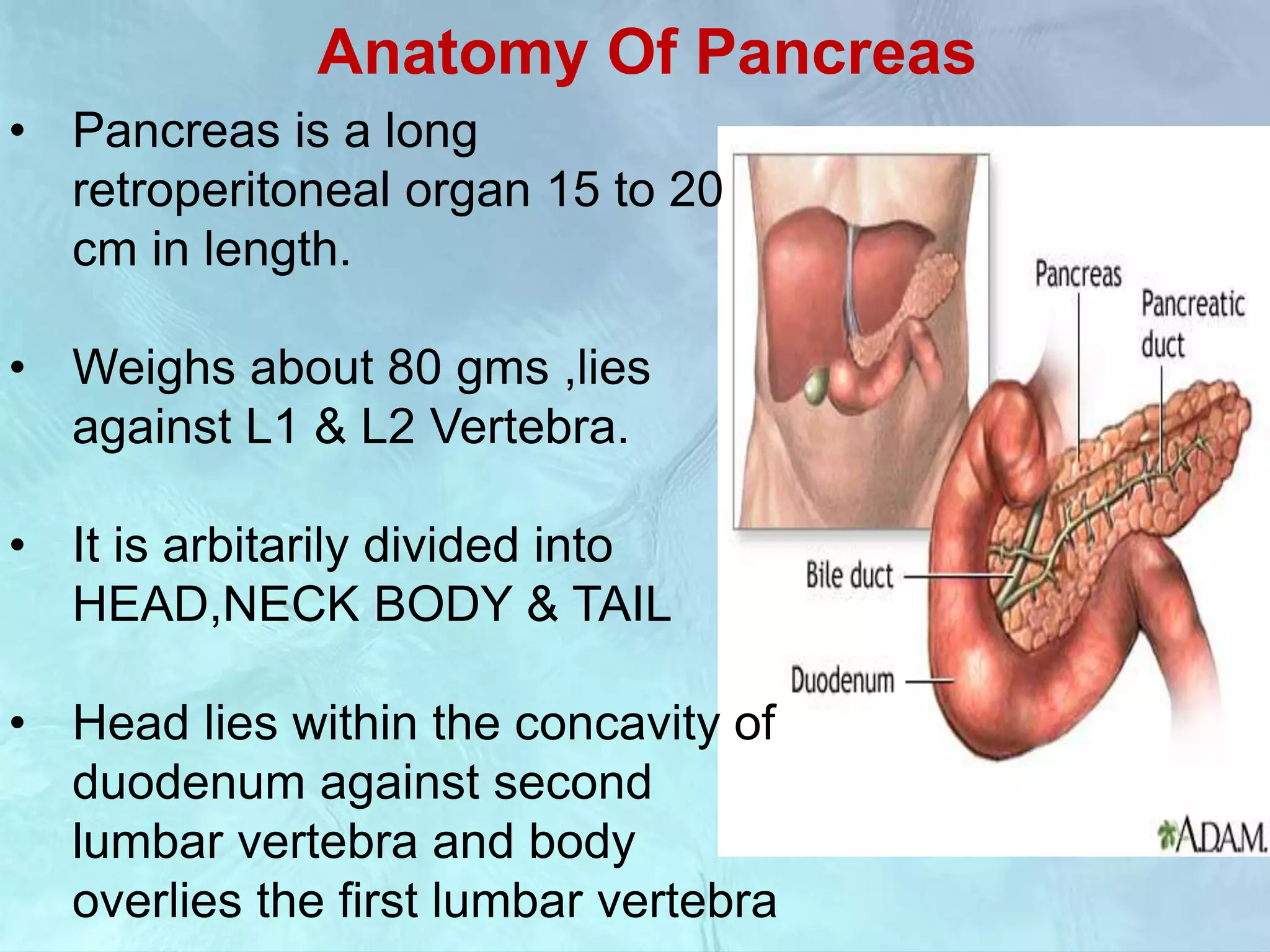 Ca pancreas [autosaved] | PPTX