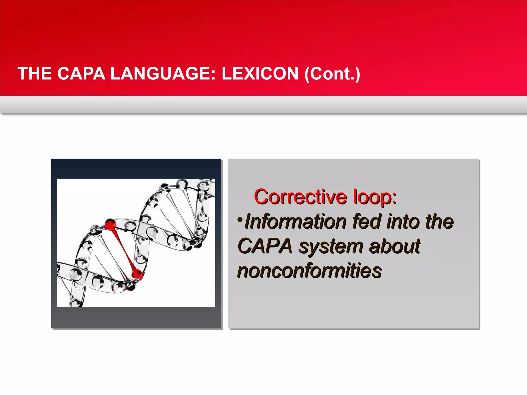 Corrective And Preventive Action Capa Ppt Business Business And