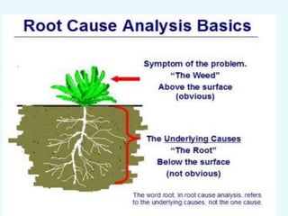 CAPA,_Root_Cause_Analysis_and_Risk_Management-1.ppt