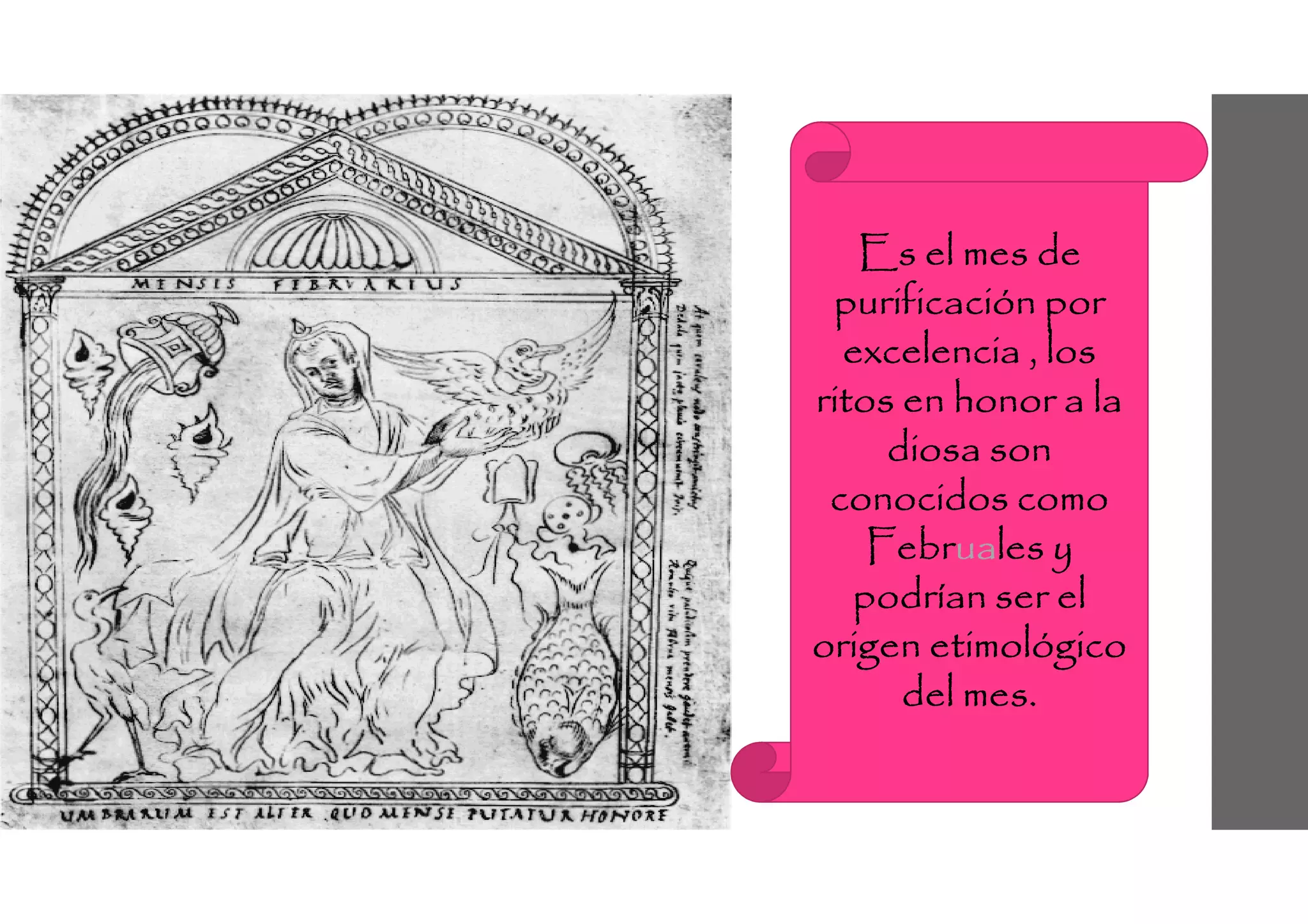 Februarius, por Olga Caparrós | PDF