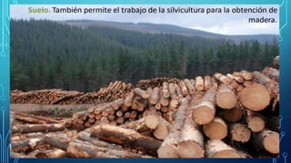 Capas de la tierra, litosfera, hidrosfera, atmosfera | PPTX
