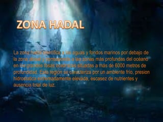 Capas oceanicas | PPTX