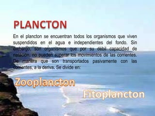 Capas oceanicas | PPTX