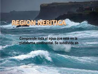 Capas oceanicas | PPTX