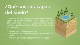 Capas De Suelo Para Niños