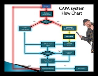 Capa The Challenge And Solution | PDF