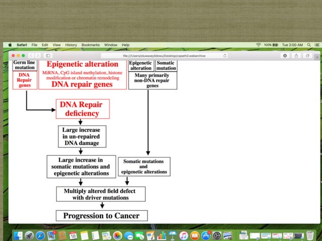 Ca pathogenesispdf | PPT