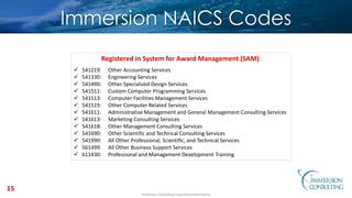 Immersion Consulting Capabilities Brief | PPT