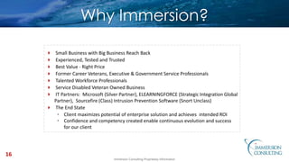 Immersion Consulting Capabilities Brief | PPT