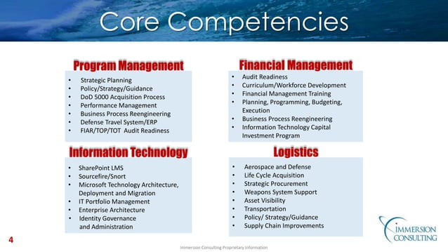Immersion Consulting Capabilities Brief | PPT