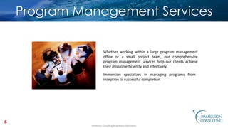 Immersion Consulting Capabilities Brief | PPT
