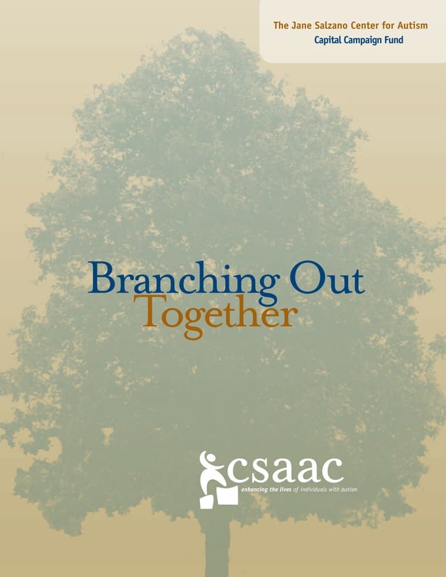 Capital Campaign Brochure for CSAAC | PDF | Non-Profit Organizations ...