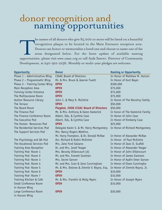 Capital Campaign Brochure for CSAAC | PDF