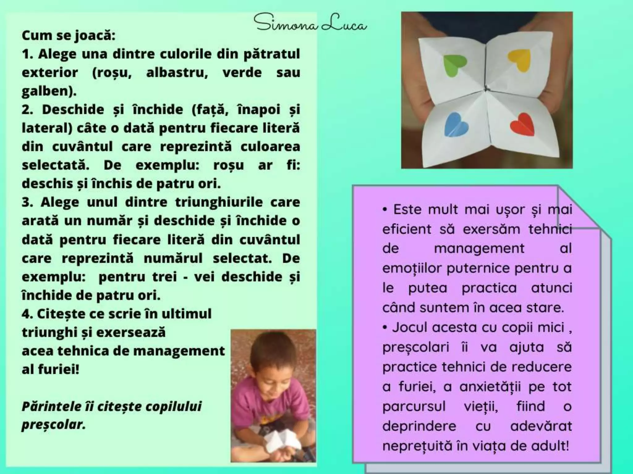 Capcana furiei solnita jucarii din hartie | PPTX