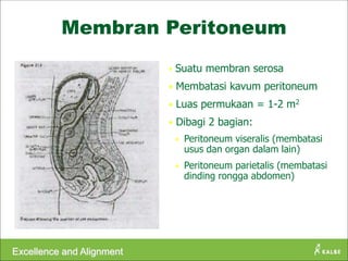 CAPD.ppt