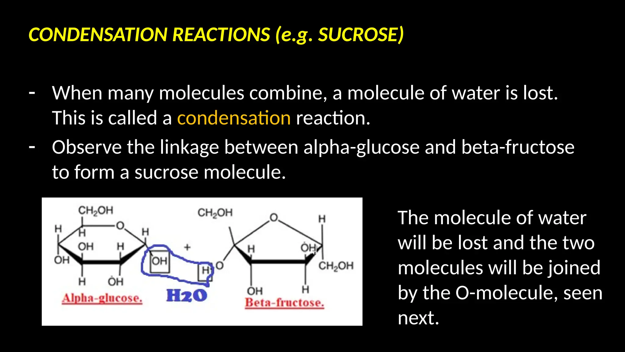 capebioreview.pptx Cape biology unit one | PPT