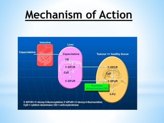 CAPECITABINE IN MBC final.ppt