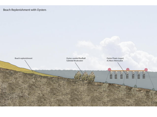Cape st Claire Community Beach Project | PDF