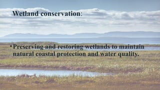 CAPE TOWN, SOUTH AFRICA. COASTAL MANAGEMENT.pptx
