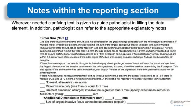 CAP_Foundation_Cancer_Protocols_June2023.pdf | Cancer | Diseases and ...