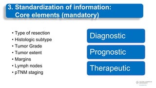 CAP_Foundation_Cancer_Protocols_June2023.pdf
