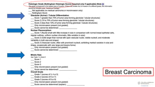 CAP_Foundation_Cancer_Protocols_June2023.pdf