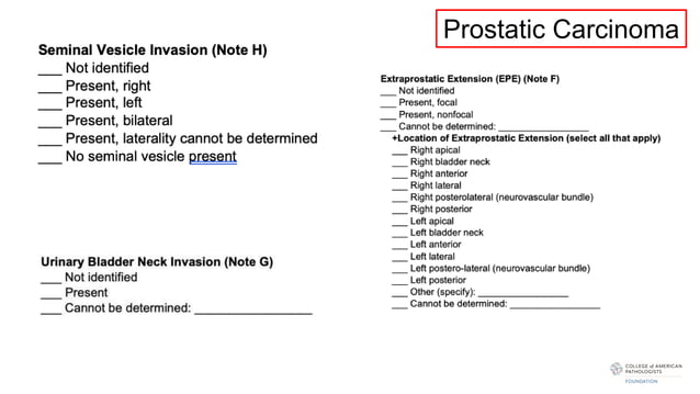 CAP_Foundation_Cancer_Protocols_June2023.pdf | Cancer | Diseases and ...
