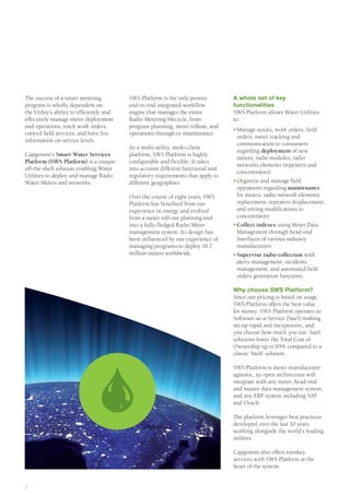 Capgemini ses - smart water service pov (gr) | PDF