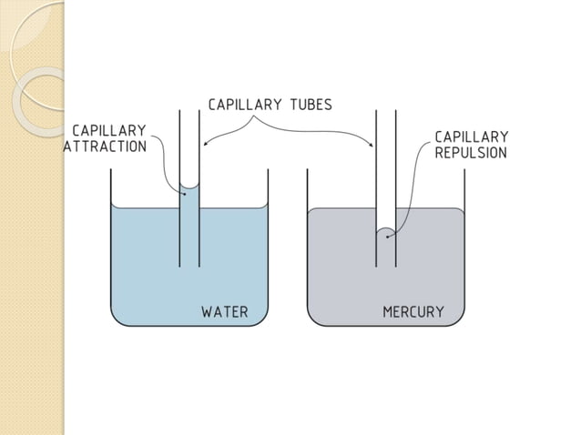 Capillarity | PPTX