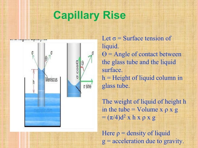 Capillarity | PDF | Physics | Science