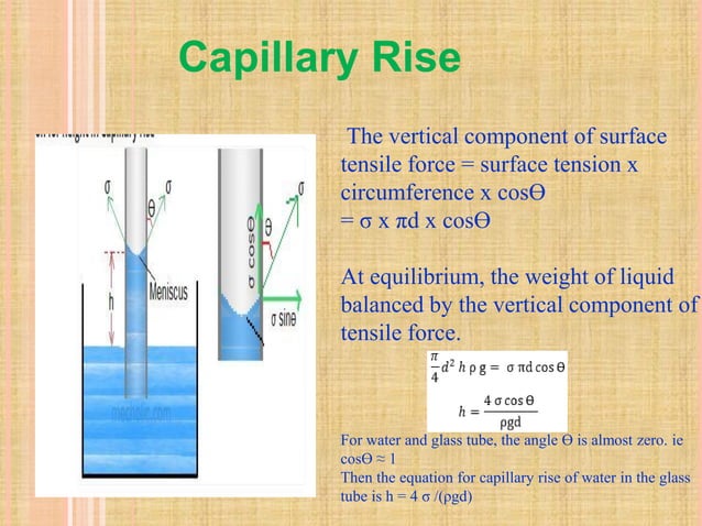 Capillarity | PDF | Physics | Science