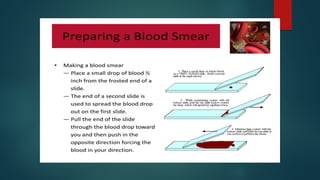 Capillary-Puncture-Equipment-and-Procedure.pptx