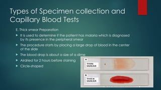 Capillary-Puncture-Equipment-and-Procedure.pptx