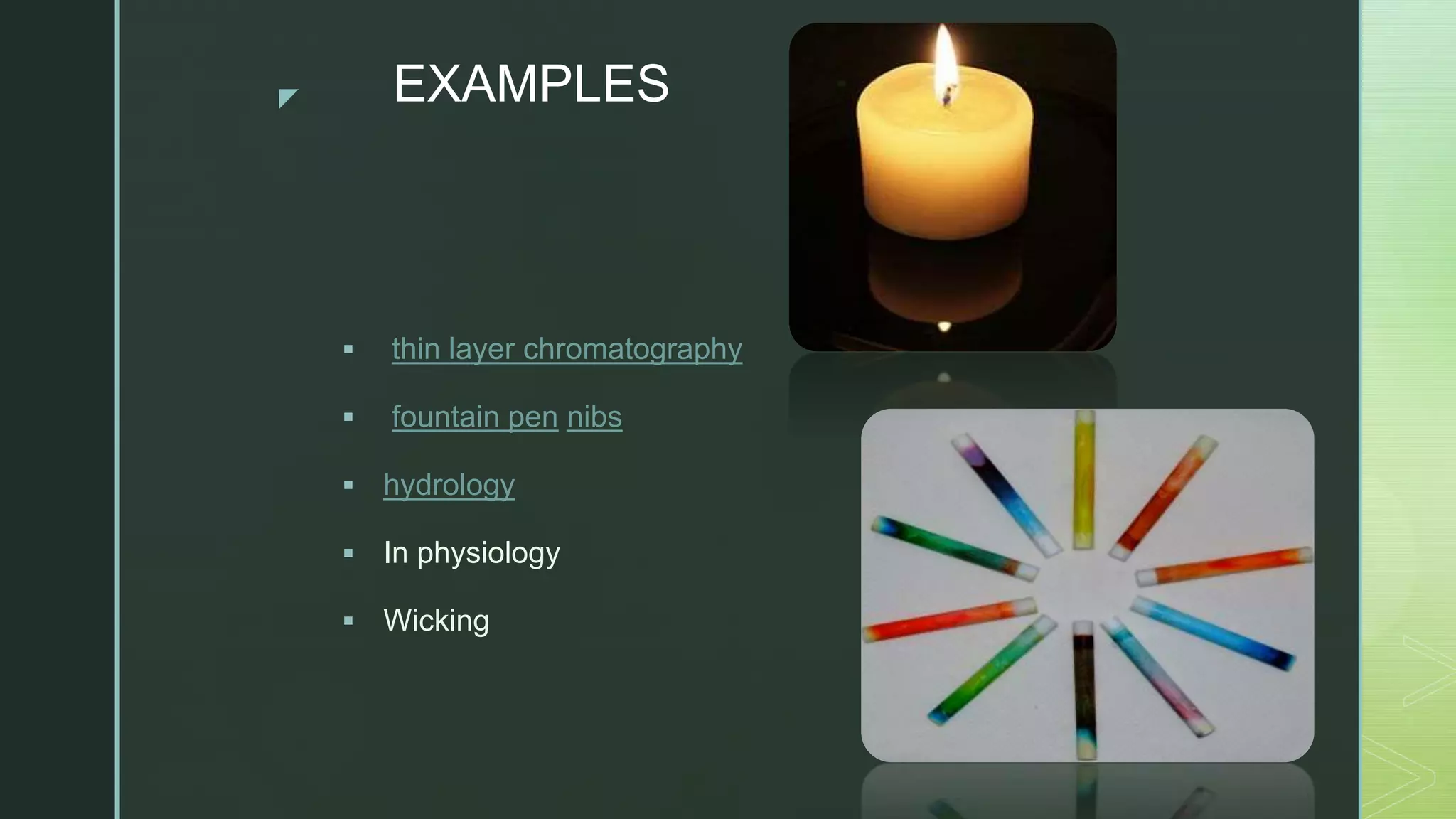 Capillary Action | PPTX