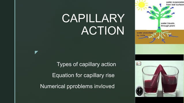 Capillary Action | PPTX