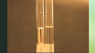 Capillary Action | PPTX