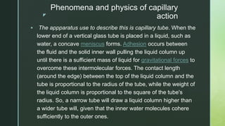 Capillary Action | PPTX