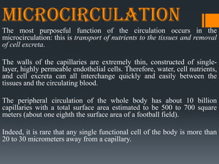 Capillary circulation | PPTX