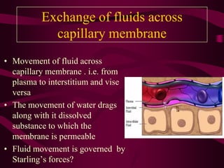 Capillary circulation & fluid exchange.pdf
