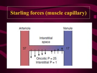 Capillary circulation & fluid exchange.pdf