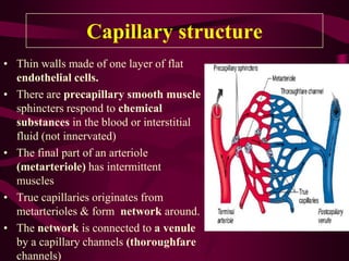 Capillary circulation & fluid exchange.pdf