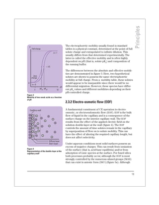 Capillary electrophoresis | PDF