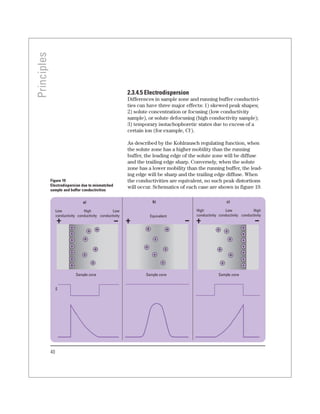 Capillary electrophoresis | PDF