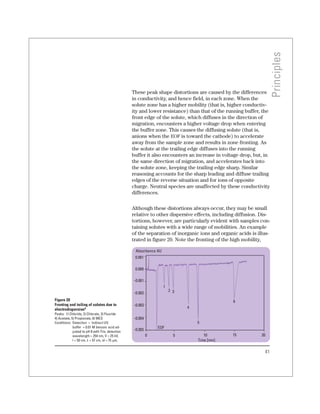 Capillary electrophoresis | PDF