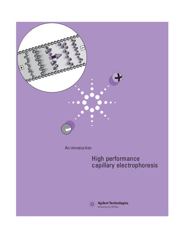 Capillary electrophoresis