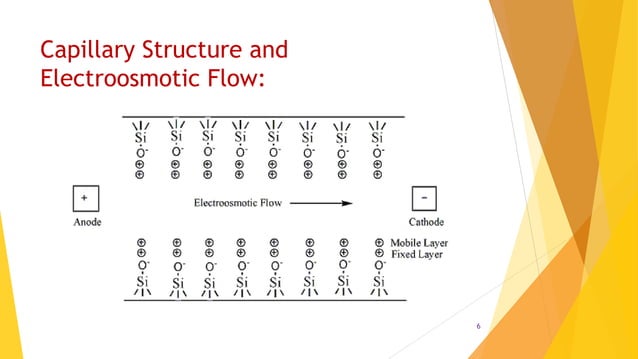 Capillary electrophoresis | PPTX