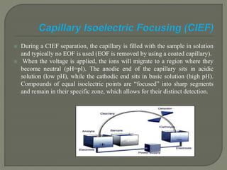 Capillary electrophoresis | PPTX