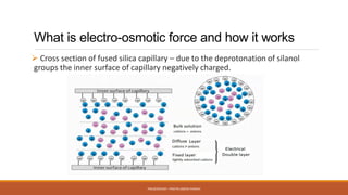 Capillary electrophoresis | PDF